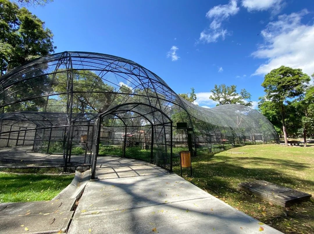 Visita del Zoológico de Maracay - Diversidad y Aventura.