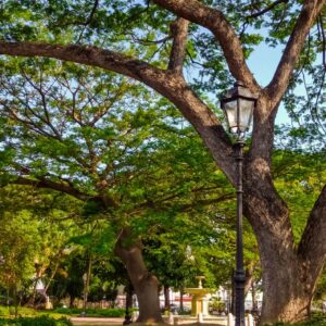 Descubre 5 lugares para visitar en Maracay